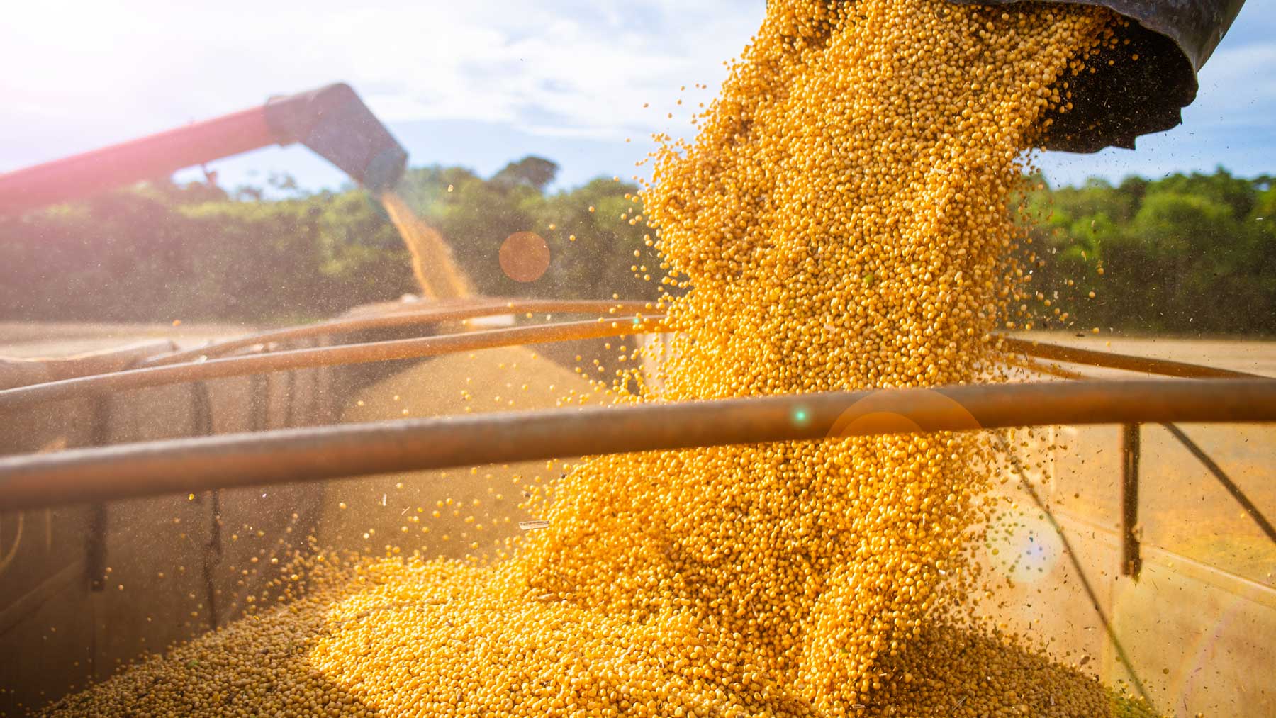 Global Commodity Prices Outlook For 2020 Ampersand World Magazine global-commodity-prices-outlook-for-2020-ampersand-world-magazine